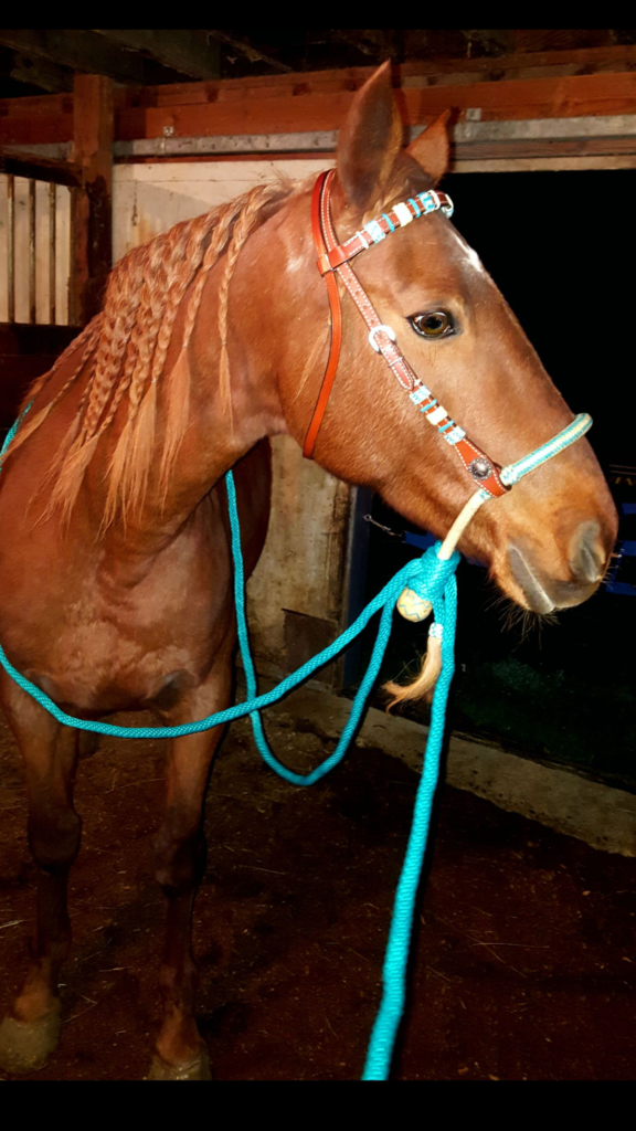 Ember - Hope in the Saddle