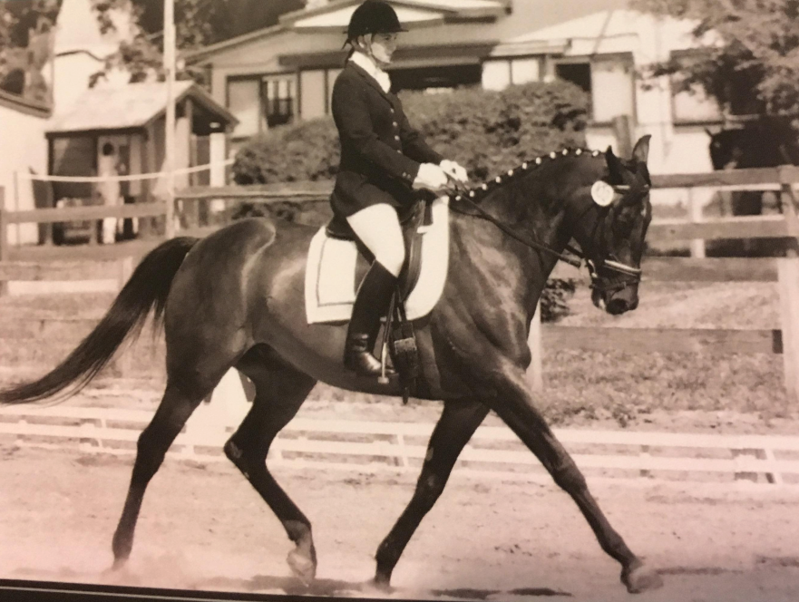 Moonshine, the Racehorse who Became a Dressage Champion