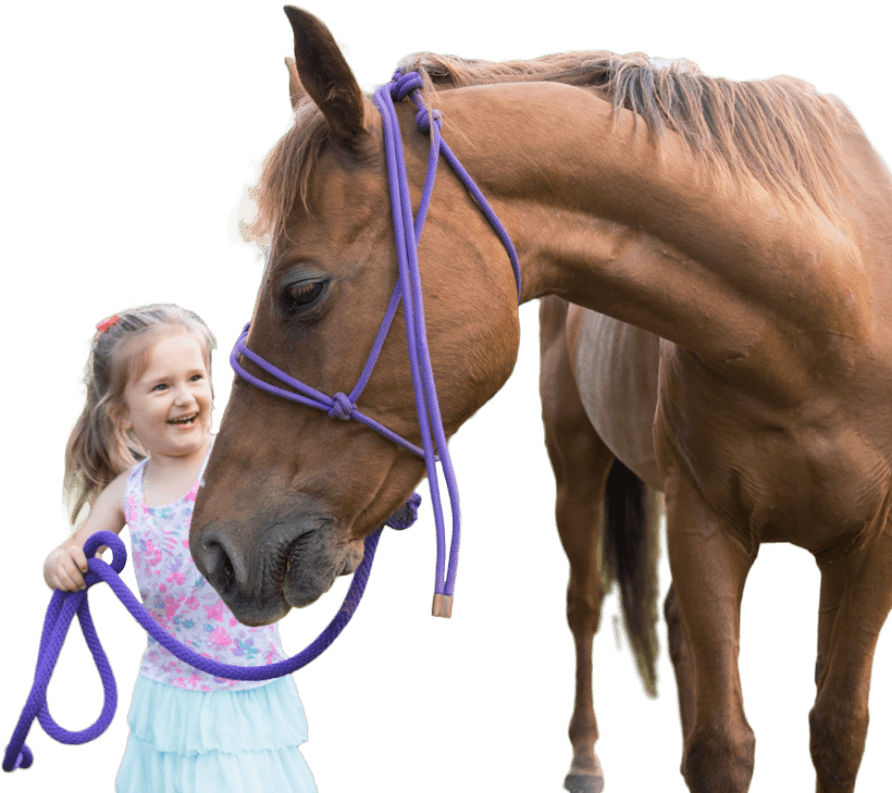 Healing Stories - Hope in the Saddle