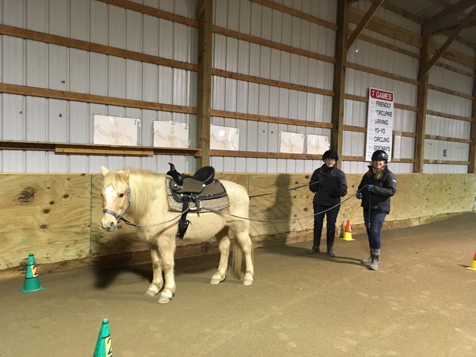 Recovering from Alcohol and Drug Abuse with the Help of Carriage Ponies